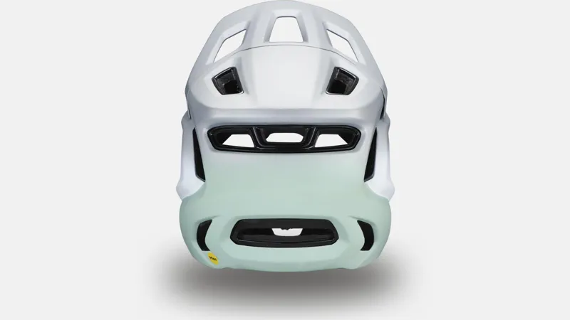2022 Specialized Gambit Full Face Helmet White Sage